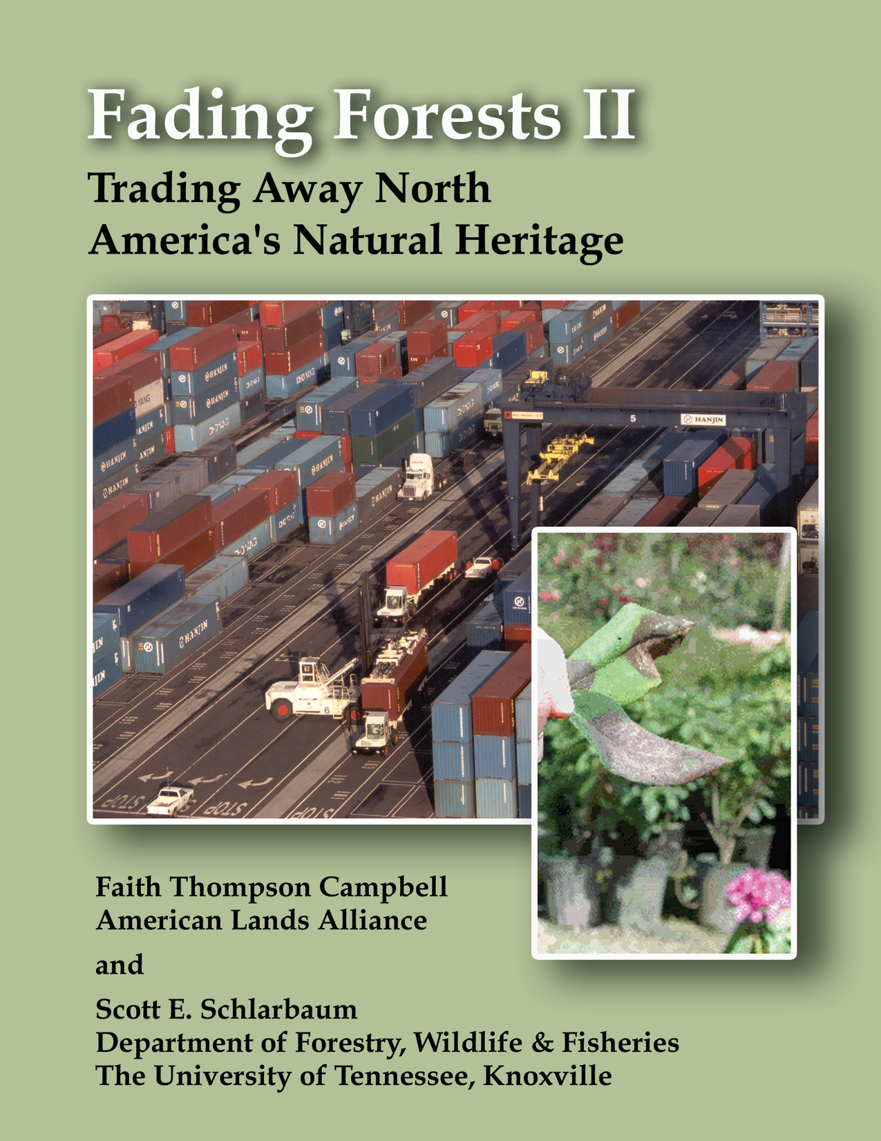 Fading Forests | UT Tree Improvement Program