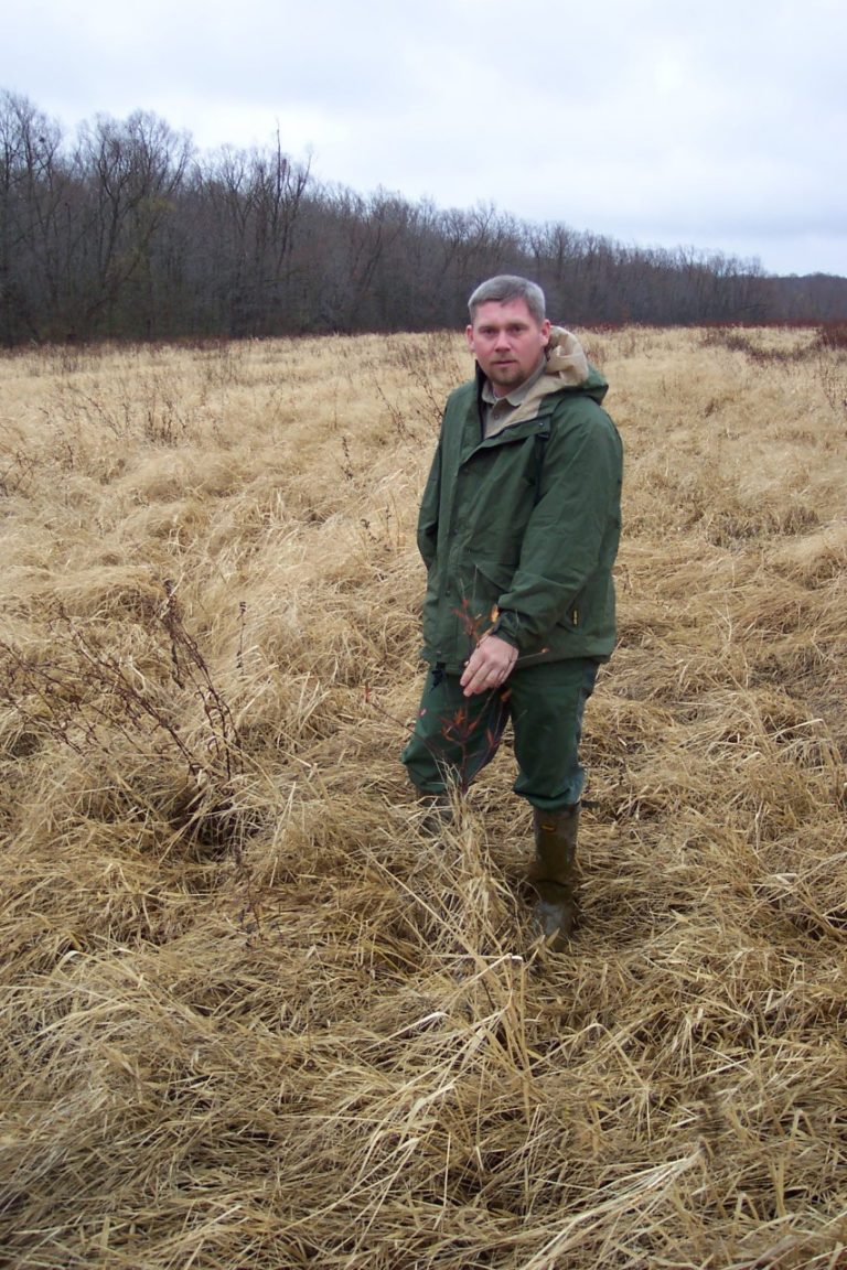 Tennessee Wildlife Resources Agency | UT Tree Improvement Program