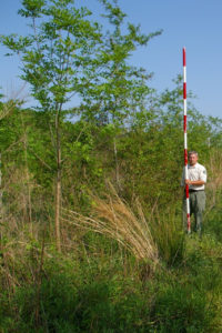 Tennessee Wildlife Resources Agency | UT Tree Improvement Program