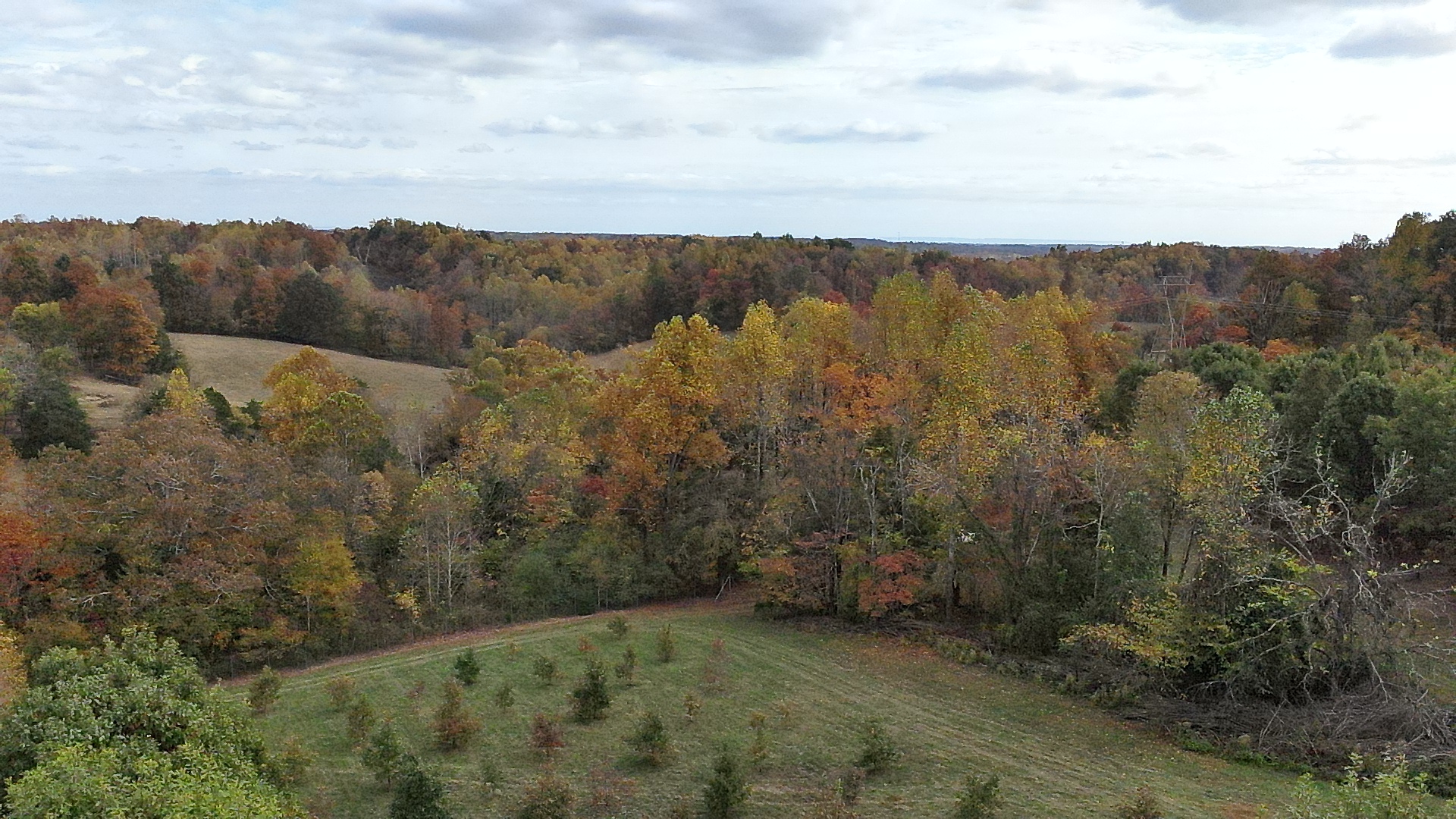 Tennessee Seed Orchard System | UT Tree Improvement Program